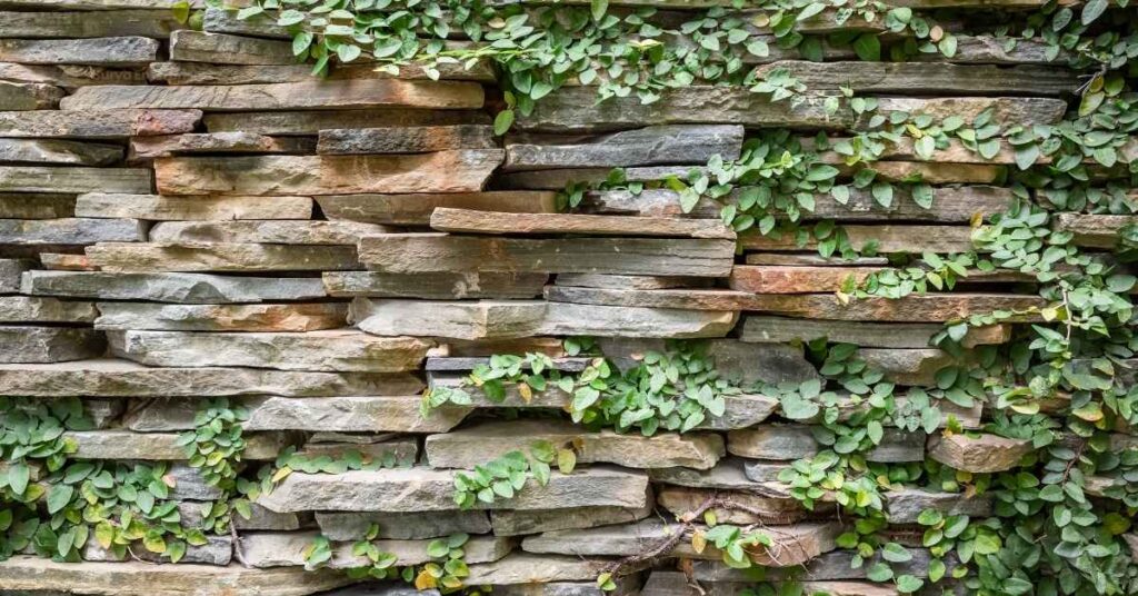 Wall Cladding Kerala | Stone, Wood & Metal Panels – Surya Enterprises